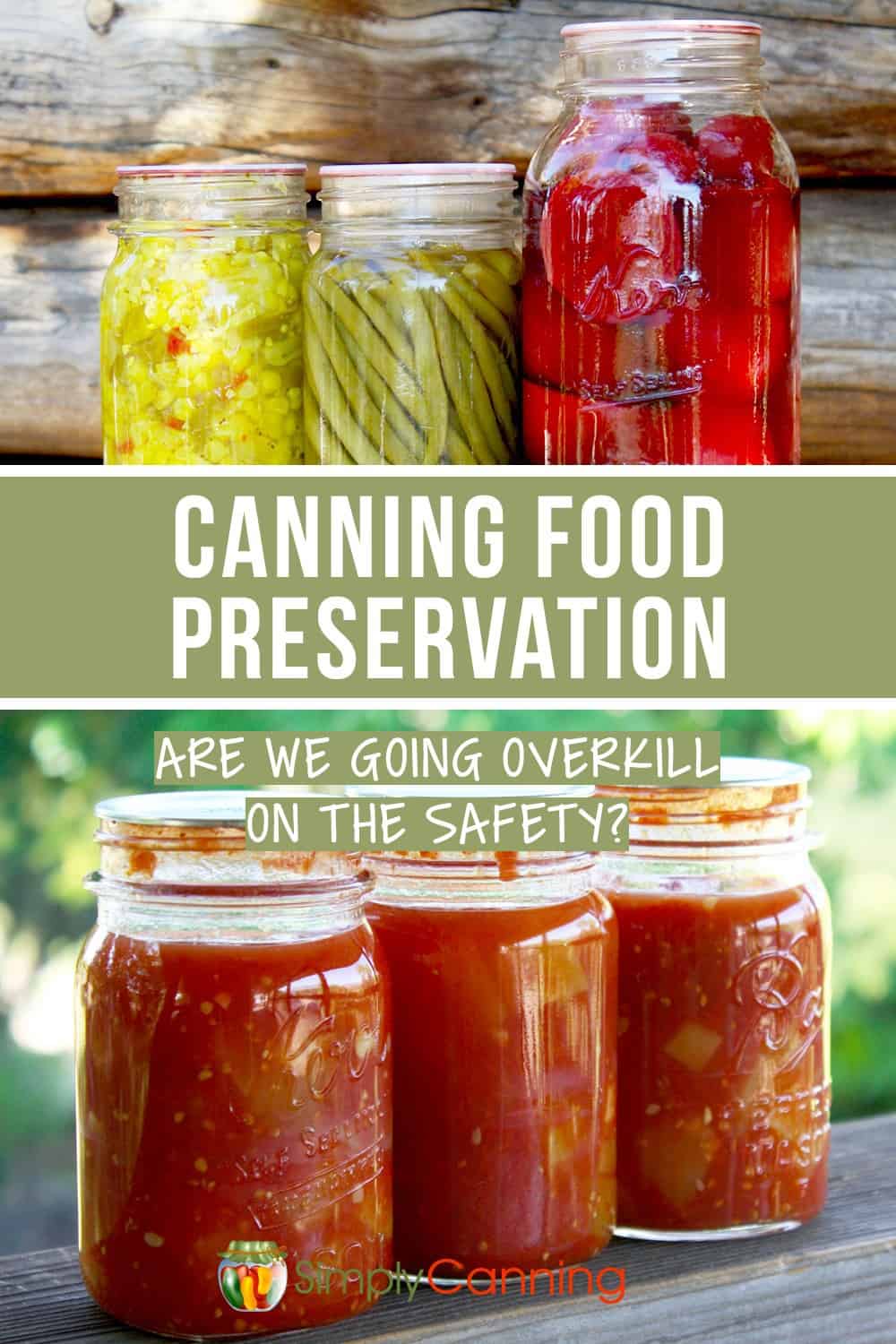 Canning Safety and making YOUR decisions.(are we on overkill?)