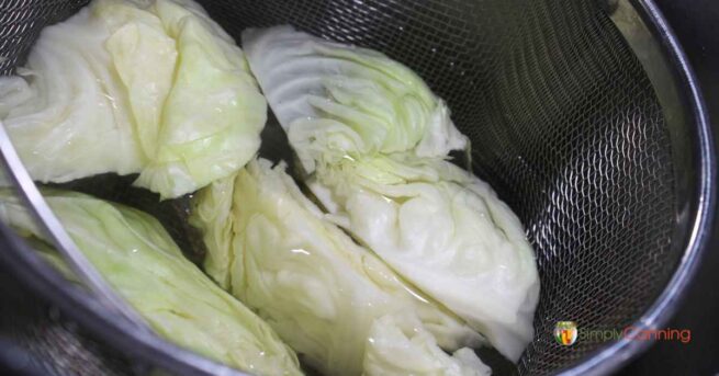 The Best Way to Freeze Cabbage - SimplyCanning