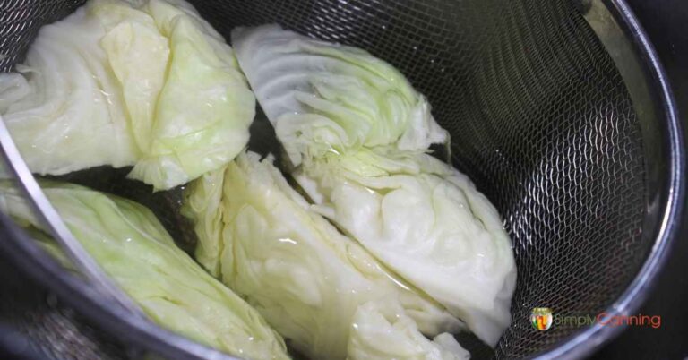 The Best Way to Freeze Cabbage - SimplyCanning