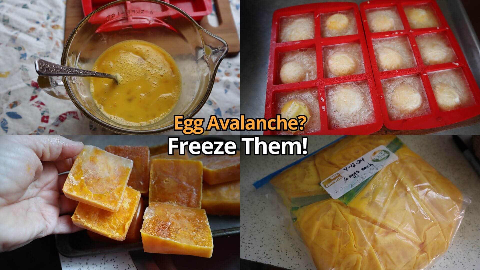 The Best Way to Freeze Eggs; 4 Methods Compared - SimplyCanning