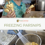 Freezing Parsnips: How to Freeze Parsnips Ready for Roasting & Recipes