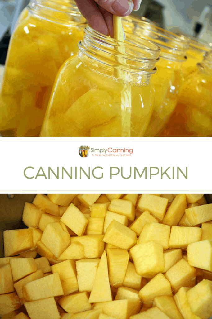 Canning pumpkin in cubes in a pressure canner. Beginner friendly how to...