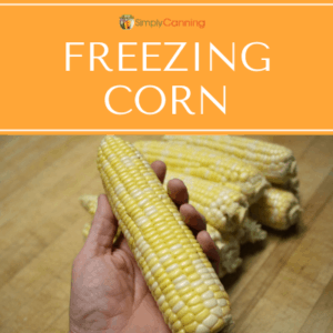 Dehydrating Corn: Make Your Own Dried Sweet Corn