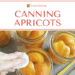 Canning your own Apricot jam makes for a taste of summer all year long!