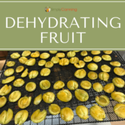 Dehydrating is the oldest (and easiest) food preservation method.