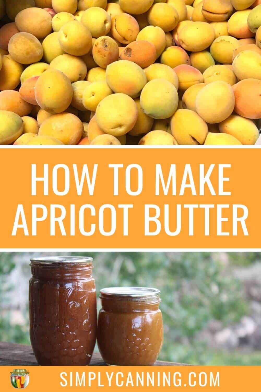 How to Make Apricot Butter; 3 methods to cook and then can apricot ...