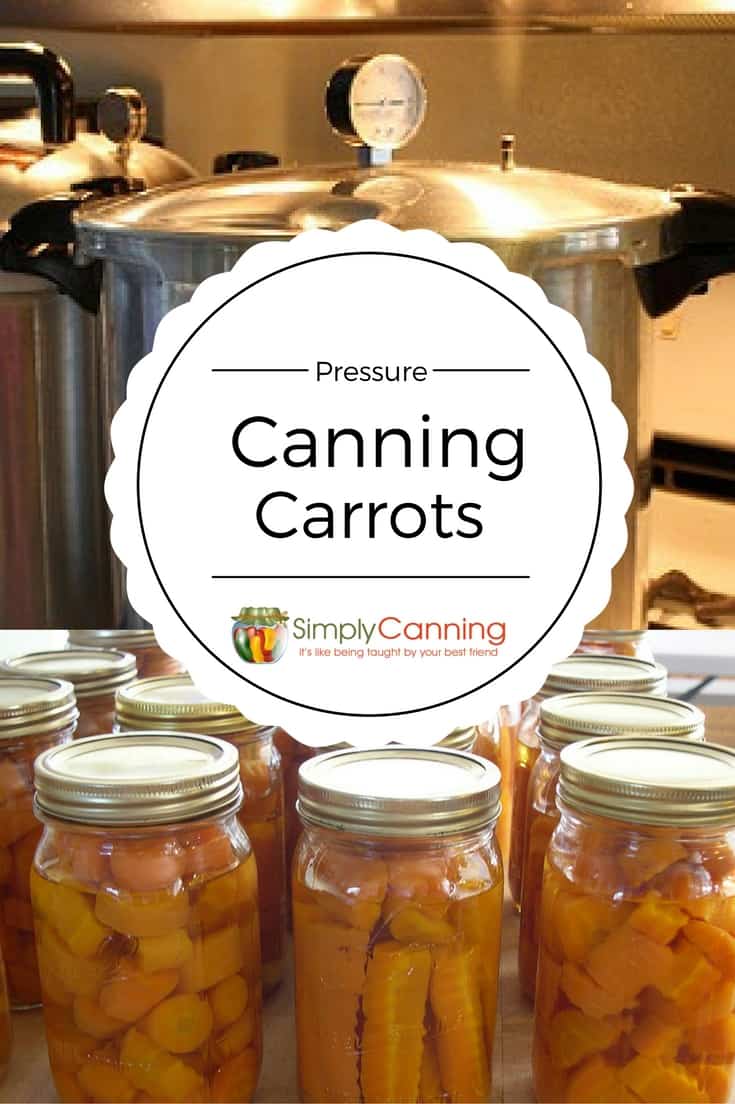 Canning carrots at home make for really quick meals. Heat and serve!