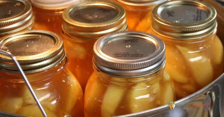 Canning Methods - Learn Which One to Use and When!