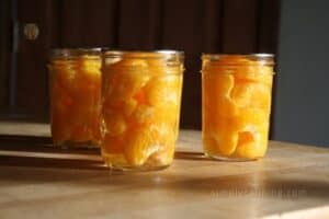 How to can oranges. Waterbath or steam canning. SimplyCanning