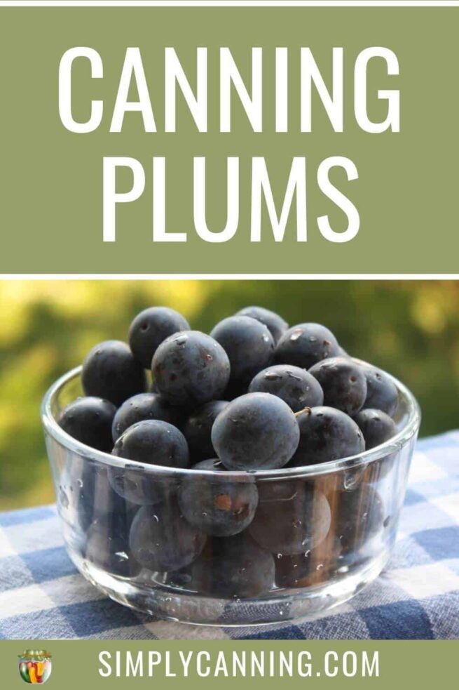 Canning Plums with sugar alternates.