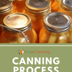 Canning Process: Times & Jar Sizes
