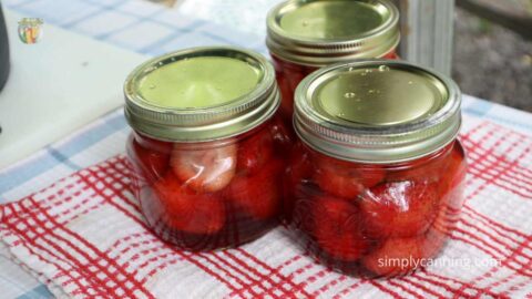 Small Batch Canning: Scale down recipes & maintain safety.