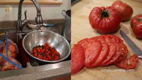 Dehydrating Tomatoes in a Food Dehydrator