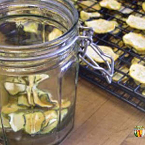 Dehydrating for beginners. Simple Tutorials and Tips.