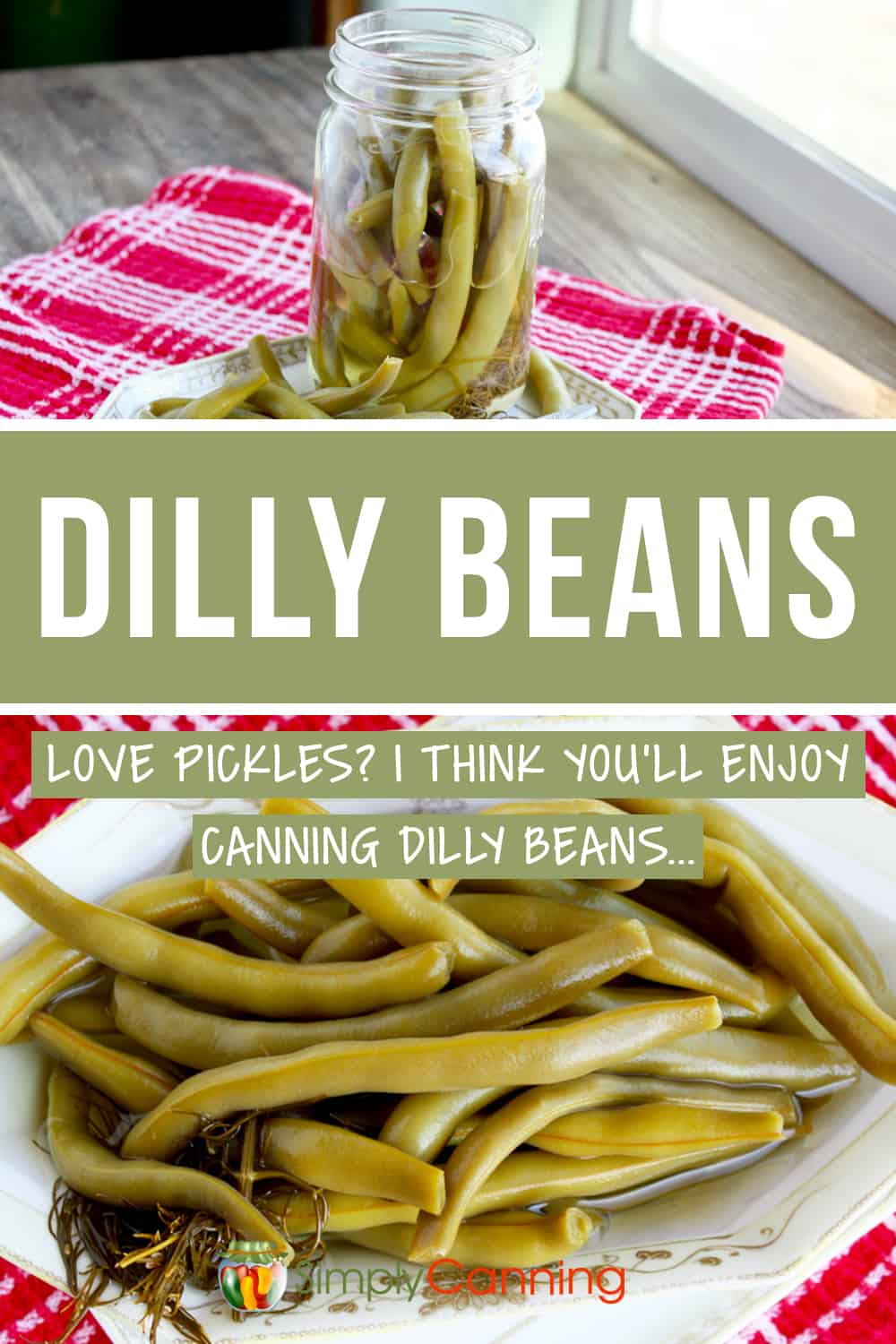 Dilly beans; Pickled Green Beans. Old fashioned garlic or go spicy!