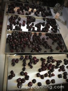 How to Freeze Dry Cherries with a Home Freeze Dryer.