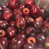 How to Freeze Dry Cherries with a Home Freeze Dryer.