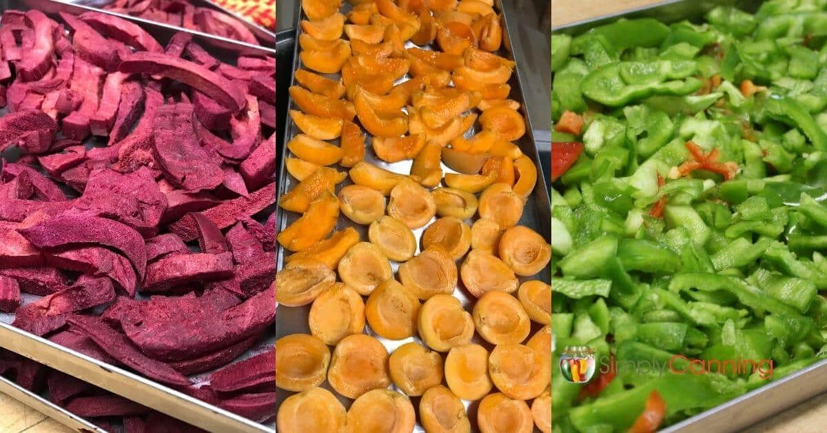 Freeze Drying Food at Home