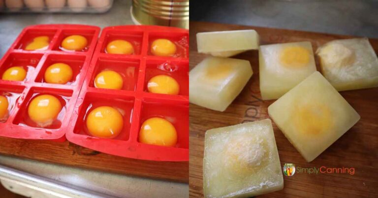 The Best Way to Freeze Eggs; 4 Methods Compared - SimplyCanning