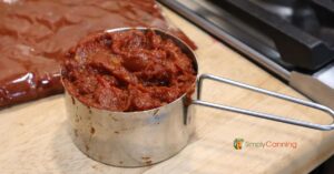 How to Make and Freeze Tomato Paste - SimplyCanning