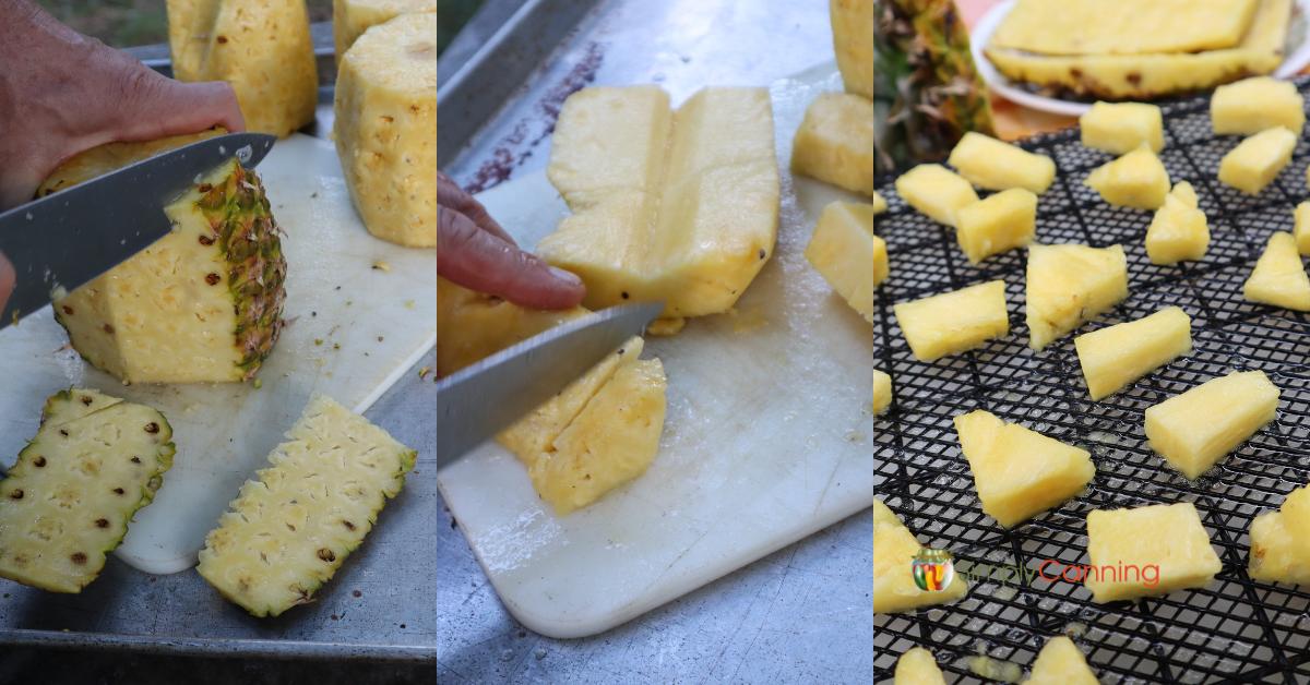 How to Dry Pineapple (Fresh or Frozen)