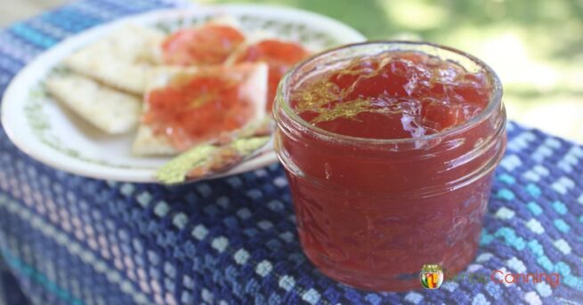 Jam or Jelly Canning is a great first step to canning. Recipes here!