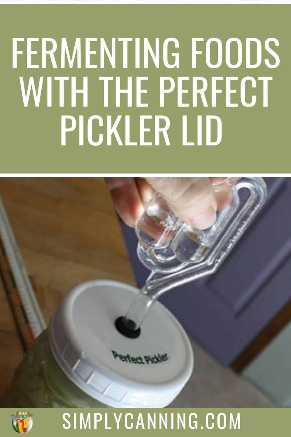 Fermenting Foods with the Perfect Pickler