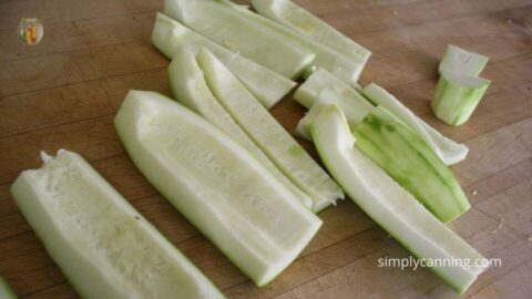 Canning Zucchini Pineapple Juice (Can, Freeze or Fridge options)