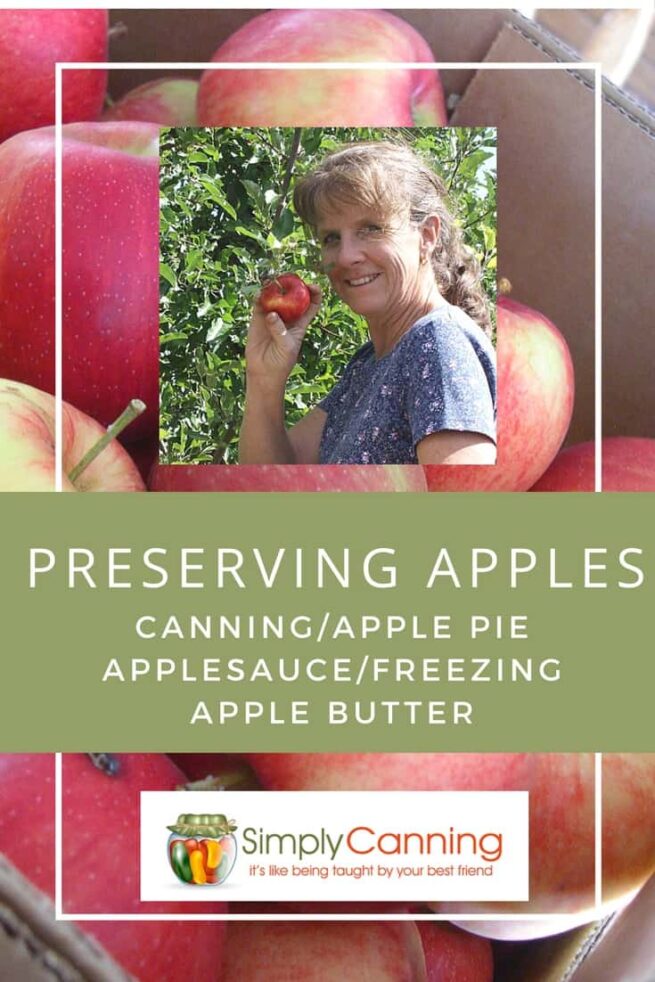 Preserving apples: Your one-stop page for multiple methods.