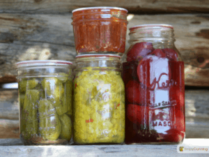 Preserving foods at home. Start now-Canning; dehydrating; freezing;