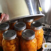 Steam Canner: Ever heard of steam canning? Learn how to use one here.
