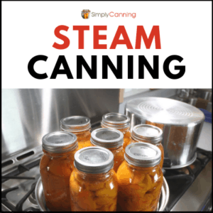 Steam Canner vs Water Bath: A Beginner’s Guide